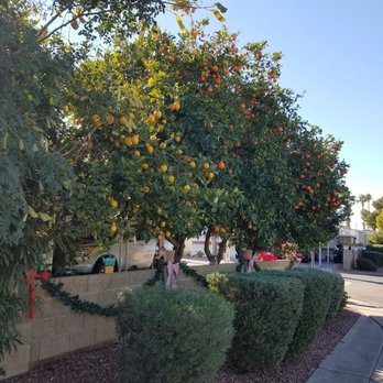 SUNFLOWER RV RESORT - Updated January 2026 - 41 Photos & 24 Reviews ...