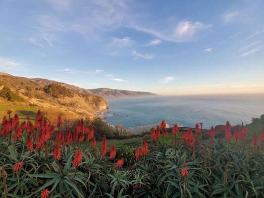 LUCIA LODGE - Updated February 2025 - 196 Photos & 242 Reviews - 62400 ...