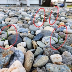 CASCADE ROCK - Updated October 2025 - 52 Photos & 94 Reviews - 8585 ...