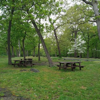 TALLMAN MOUNTAIN STATE PARK - Updated December 2025 - 116 Photos & 24 ...