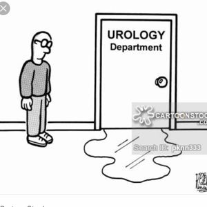 FOAD ELAHI, MD - Updated November 2024 - 16 Reviews - 1144 Norman Dr ...