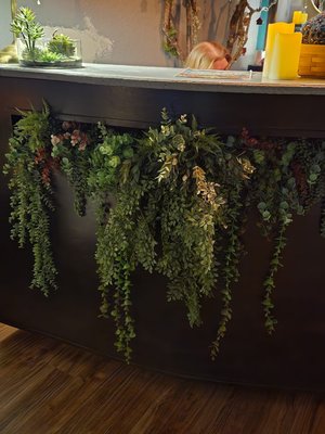 FOREST WELLNESS COLLECTIVE - Updated May 2026 - 3225 California Ave SW ...
