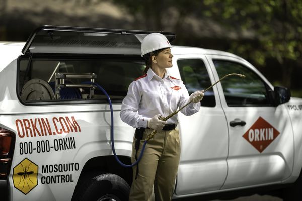 ORKIN - Updated October 2025 - 24 Photos - 12649 State Highway 30 ...