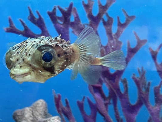 SPLASH AQUARIUM - Updated December 2025 - 146 Photos & 228 Reviews ...