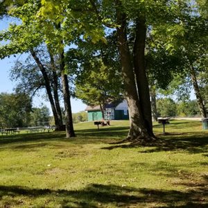 QUARRY RUN DOG PARK - Updated June 2025 - 34 Photos & 21 Reviews - 1026 ...