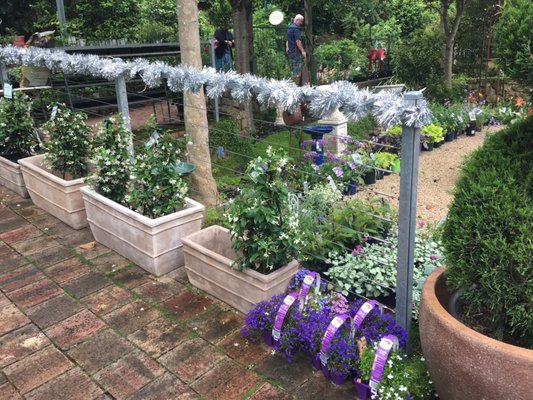 NEWMAN’S NURSERY AND GARDENS - Updated October 2025 - N East Rd, Tea ...
