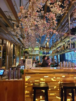 MASU - Updated September 2024 - 279 Photos & 62 Reviews - 90 Federal St ...