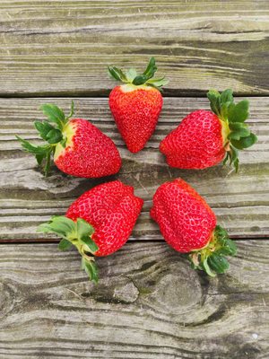 DORR FARMS - Updated October 2025 - 17 Photos - 5225 Dorr Acres Rd ...