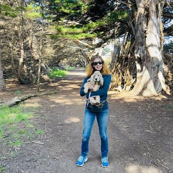 WAVECREST OPEN SPACE - Updated December 2025 - 159 Photos & 15 Reviews ...