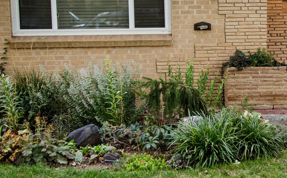 BLUESTEM DESIGN - Request a Quote - Denver, Colorado - Landscaping - Yelp