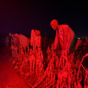 ASYLUM 49 - Updated October 2025 - 41 Reviews - 140 E 200th S, Tooele ...