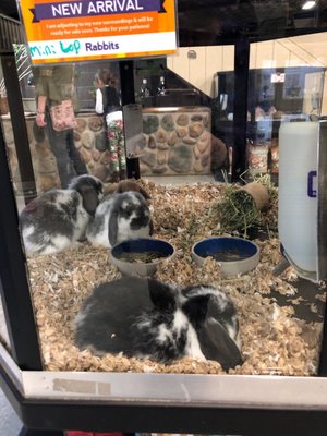 THAT FISH PLACE - THAT PET PLACE - 121 Photos & 107 Reviews - Local ...