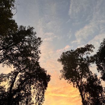 SEQUOIA RV RANCH - Updated June 2025 - 132 Photos & 109 Reviews - 43490 ...