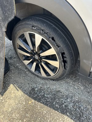 CACTUS RENT A CAR - Updated December 2025 - 62 Photos & 301 Reviews ...