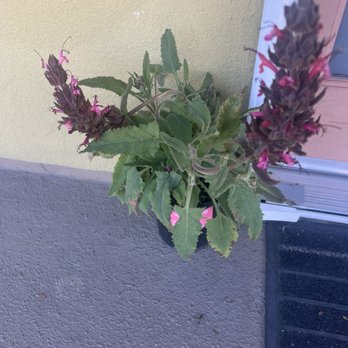 HEY, SUNSHINE KITCHEN - Updated September 2024 - 496 Photos & 544 ...