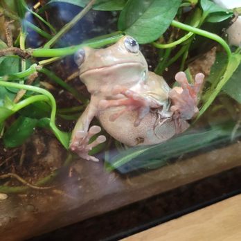 SCIENCENTER - Updated July 2025 - 45 Photos & 35 Reviews - 601 1st St, Ithaca, New York ...