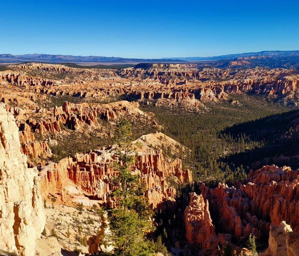 BRYCE POINT VIEW POINT - Updated July 2025 - 174 Photos & 16 Reviews ...