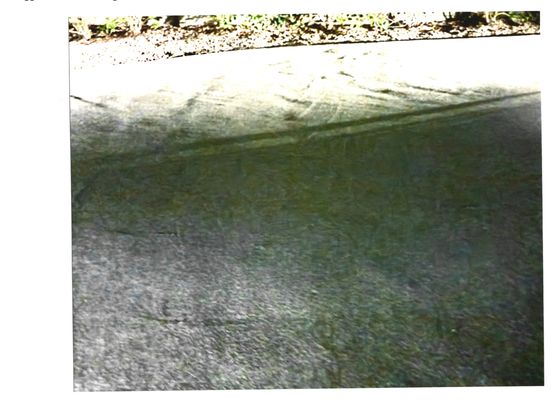 RUBBER STONE AZ - Updated December 2025 - 88 Photos & 44 Reviews ...