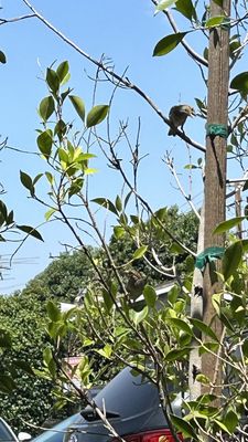 A HUEVO QUE SI MEXICAN BRUNCH - Updated November 2025 - 890 Photos ...