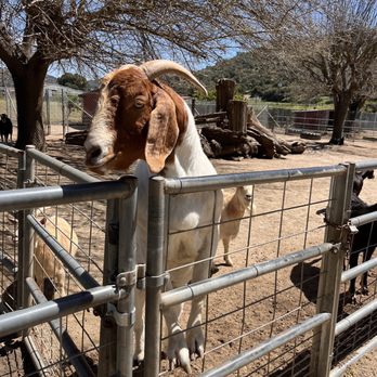 BATES NUT FARM - Updated August 2025 - 1816 Photos & 531 Reviews ...