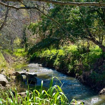 MARKHAM NATURE PARK & ARBORETUM - Updated December 2025 - 292 Photos ...