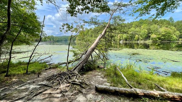 BAYS MOUNTAIN PARK & PLANETARIUM - Updated October 2025 - 59 Photos ...