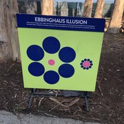 CURIODYSSEY - 750 Photos & 312 Reviews - 1651 Coyote Point Dr, San ...