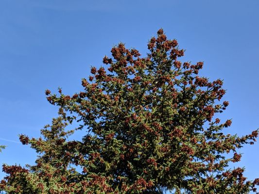 CANTON PUBLIC LIBRARY - Updated November 2025 - 111 Photos & 30 Reviews ...