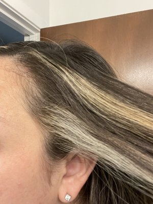 WILLIAM EDGE - Updated January 2026 - 19 Reviews - 1528 E Common St ...