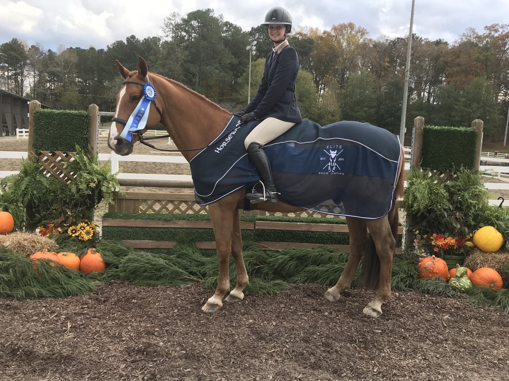 WILSON SHOW STABLES - Updated June 2025 - 27 Photos - 387 Shannon Dr NE ...