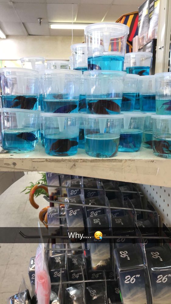 SUPER 99 CENTS STORE - Updated August 2025 - 2250 E Tropicana Ave, Las ...