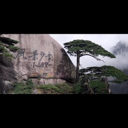 STIR KING - Updated July 2025 - 111 Photos & 87 Reviews - 2929 Watson ...