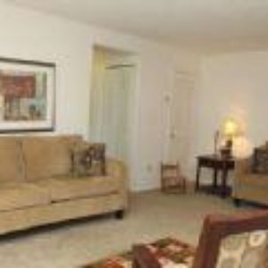 ELEVATE 17 - Updated April 2024 - 925 S Military Hwy, Virginia Beach ...