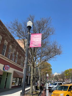 CHERRY BLOSSOM FESTIVAL - Updated March 2025 - 31 Photos & 20 Reviews ...