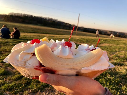 MAPLE VIEW FARM COUNTRY STORE - Updated March 2025 - 303 Photos & 357 ...