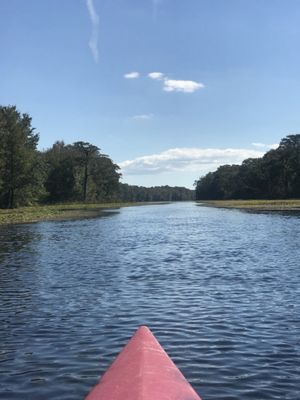 WACISSA RIVER CANOE AND KAYAK RENTAL - 15 Photos - 290 Wacissa Springs ...