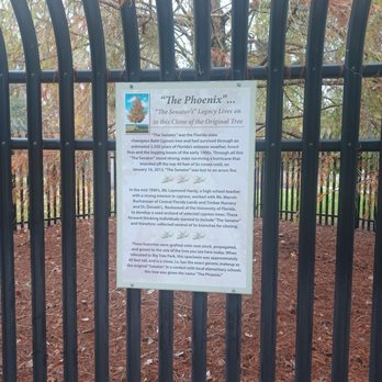 BIG TREE PARK - Updated August 2025 - 186 Photos & 42 Reviews - 761 ...