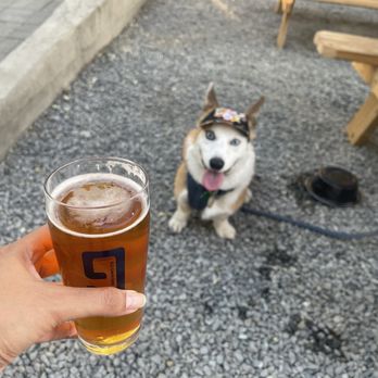 PROJECT 9 BREWING - Updated March 2025 - 74 Photos & 39 Reviews - 1409 ...