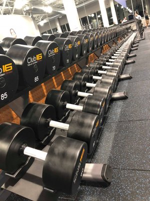 CLUB16 TREVOR LINDEN FITNESS - Updated December 2025 - 12 Photos & 12 ...