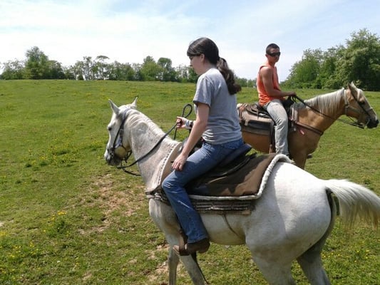 ROLLING HILLS RANCH - 29 Photos & 31 Reviews - 677 Hickory Grade Rd, Bridgeville, PA - Yelp