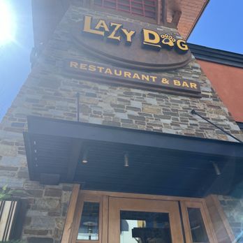 LAZY DOG RESTAURANT & BAR - Updated June 2024 - 5809 Photos & 3513 ...