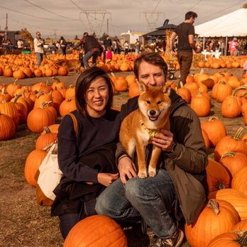 YESTERYEAR FARMS - Updated October 2025 - 200 Photos & 114 Reviews ...