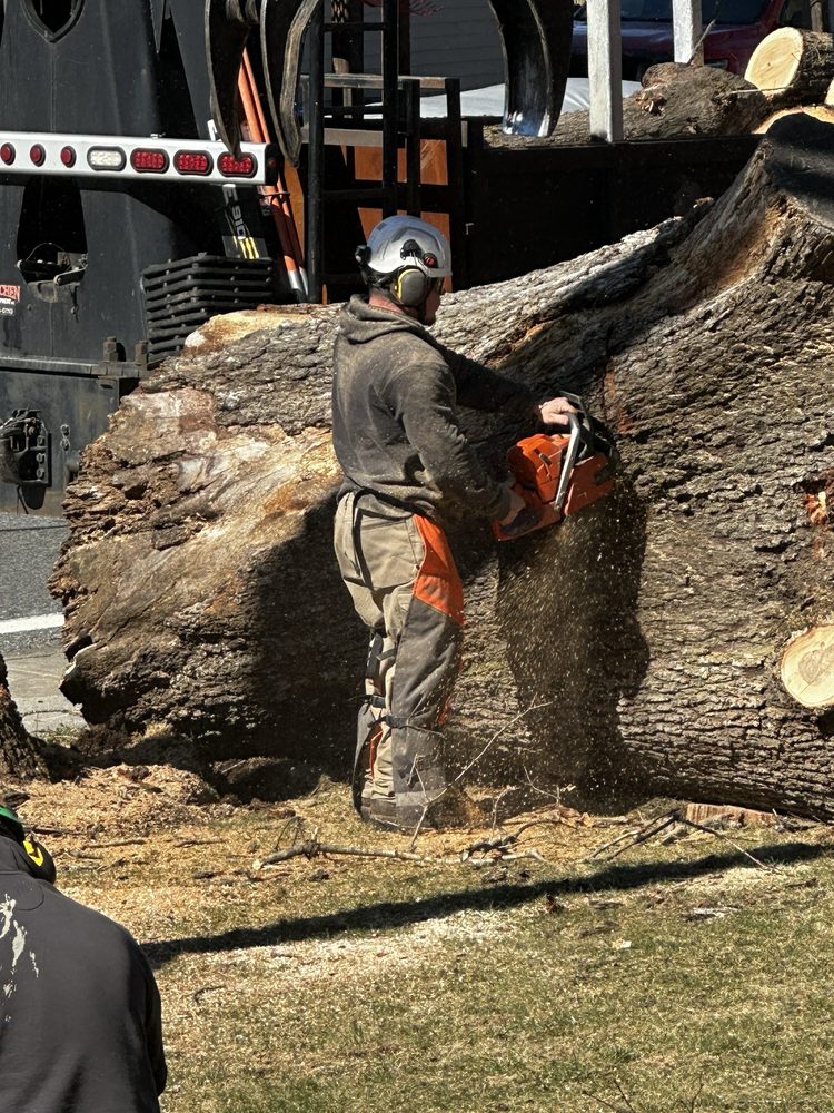 STANLEY TREE SERVICE - Updated July 2025 - 13 Photos & 55 Reviews - 275 ...