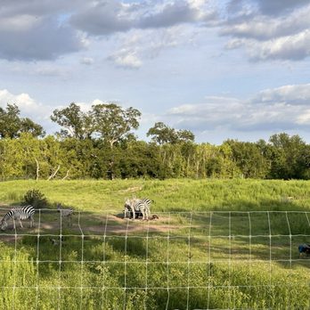 SAFARI TEXAS RANCH - Updated December 2025 - 94 Photos & 91 Reviews ...