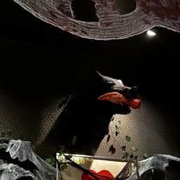 ROB ROY - Updated October 2025 - 457 Photos & 462 Reviews - 2332 2nd ...