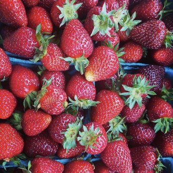 SPOONER BERRY FARMS - Updated August 2025 - 15 Photos & 31 Reviews ...