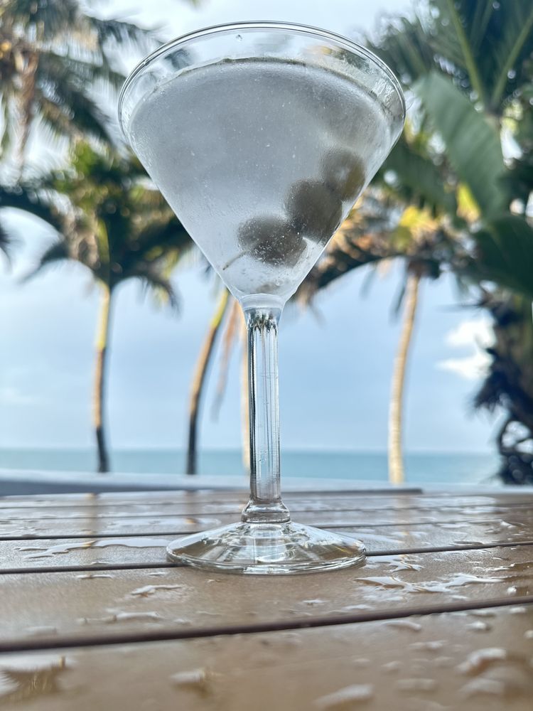 PRIVATE BARTENDER VB - Request a Quote - Vero Beach, Florida - Bartenders - Phone Number - Yelp