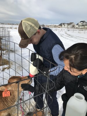 DISCOVERY RANCH - Updated November 2025 - 18 Photos & 36 Reviews - 1308 ...