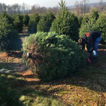 METZLER WISSLER FARMS - Updated December 2025 - 49 Drytown Rd, Holtwood ...