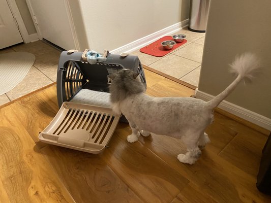 CHIXIE - Updated September 2024 - 29 Photos & 18 Reviews - 22318 ...